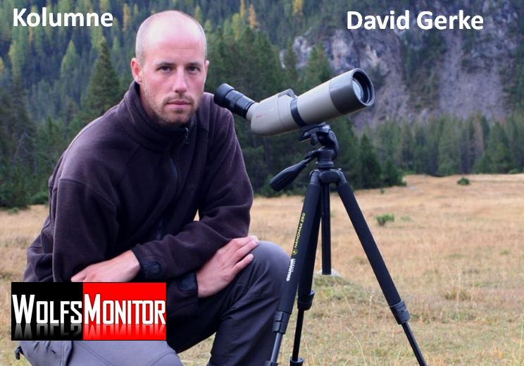 Kolumnist David Gerke – Wolfsmonitor